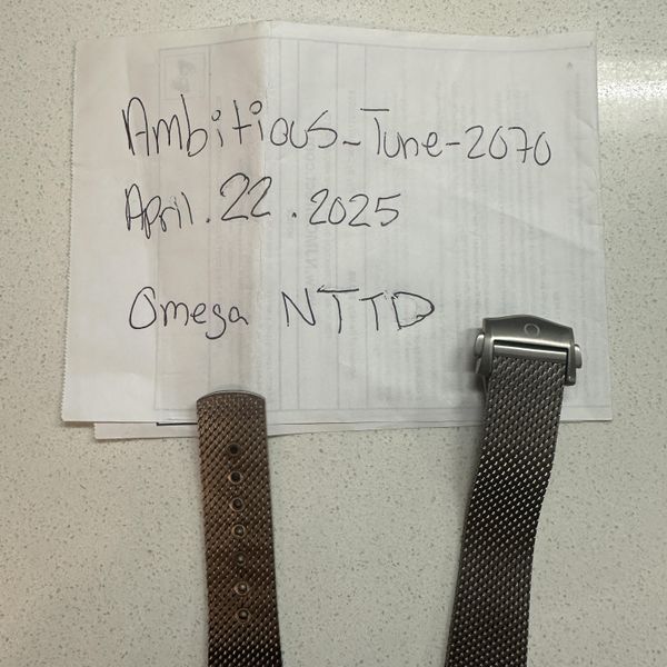 [WTT] small omega NTTD titanium strap 4 standard or large version ...