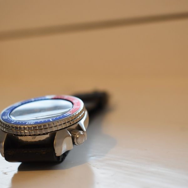 Seiko 4205 Pepsi - Broken | WatchCharts Marketplace