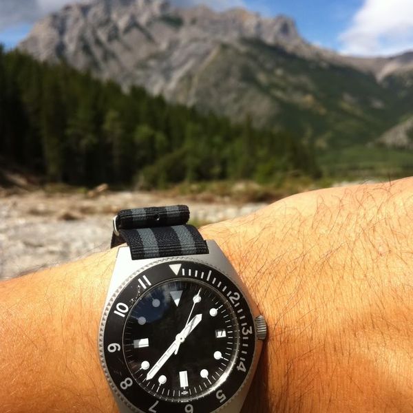 MkII Blackwater | WatchCharts