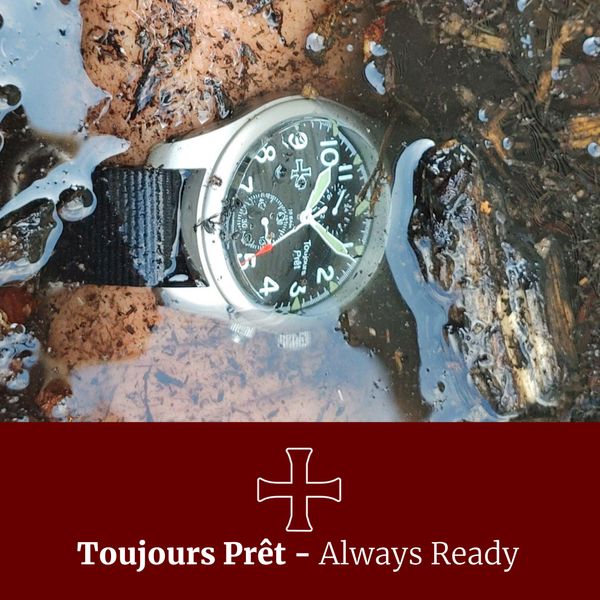 Toujours Pret, Seiko GMT Mvt military field watch. Blasted stainless ...