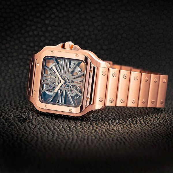 CHEAPEST! BRAND NEW FLAGSHIP CARTIER SANTOS DE CARTIER WATCH LARGE ...