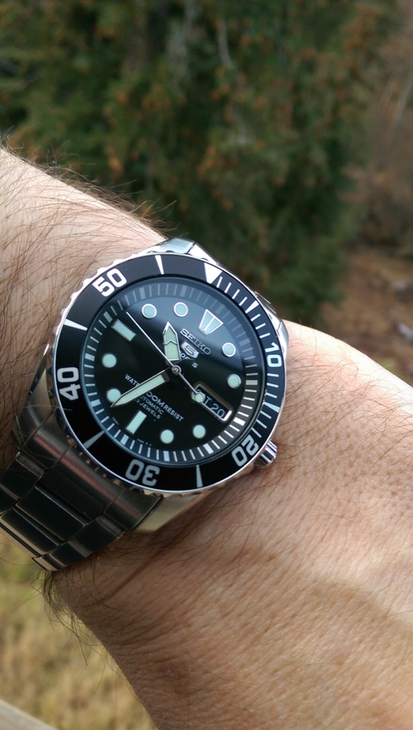 FS Seiko SNZF17 Sea Urchin | WatchCharts