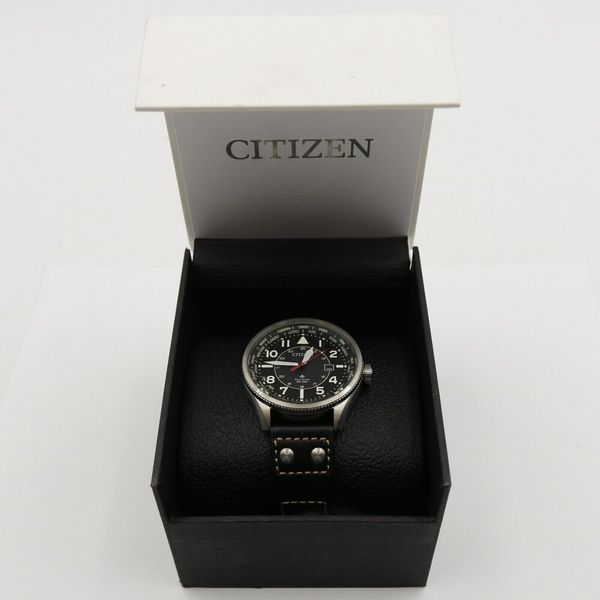 Citizen Promaster Nighthawk Perpetual World Time Men's Watch ...