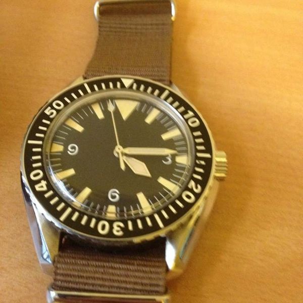 Seamaster SM300 Homage | WatchCharts