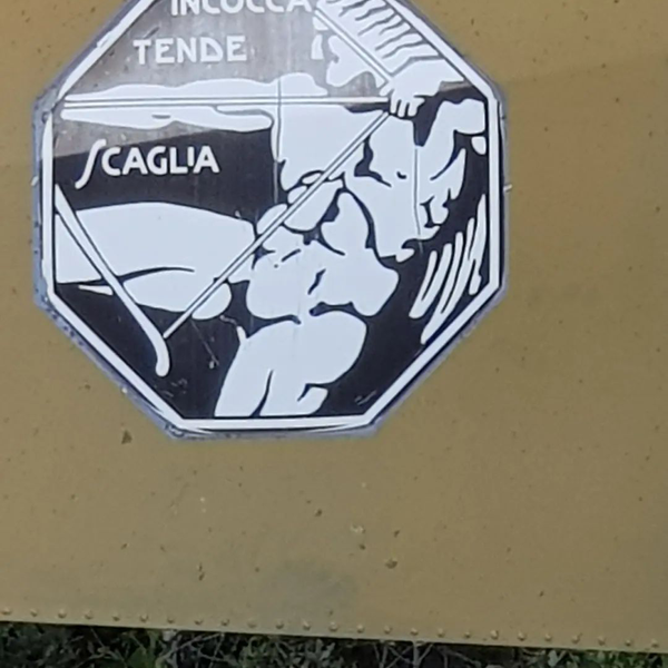 [WTS] REDUCED&REPOSTED: Chronosport UDT with Rare Italian Army Logo and ...