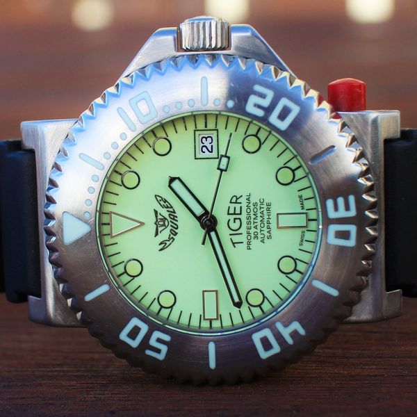 FS : Squale final edition Tiger diver | WatchCharts Marketplace