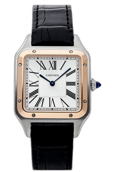 Cartier Santos Dumont Large W2SA0011 Price as of December 2025 ...