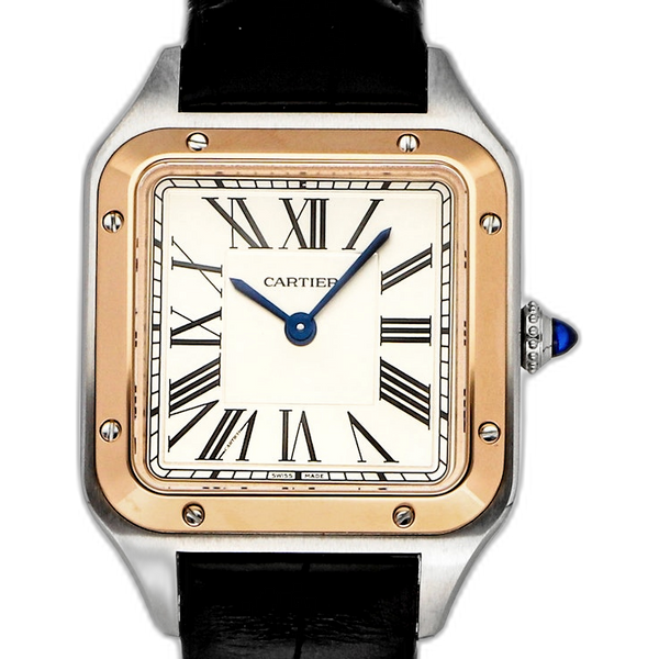Cartier Santos Dumont Small W2SA0012 Price as of December 2025 ...