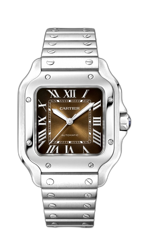 Cartier Santos WSSA0064 Price as of October 2025 | WatchCharts